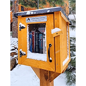 LITTLE FREE LIBRARY® Complete Bundle with Mini Library Kit, Mounting Post Kit Included, Made in America by The Nonprofit That Expands Book Access