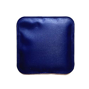 Ice Pack (Pack of 2) Replacement for PAWISE Automatic 1 Meal Feeder and 2 Meals Feeder