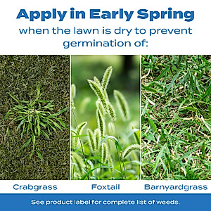 Scotts Halts Crabgrass & Grassy Weed Preventer, Pre-Emergent Weed Killer for Lawns, 10,000 sq. ft., 20.12 lbs.