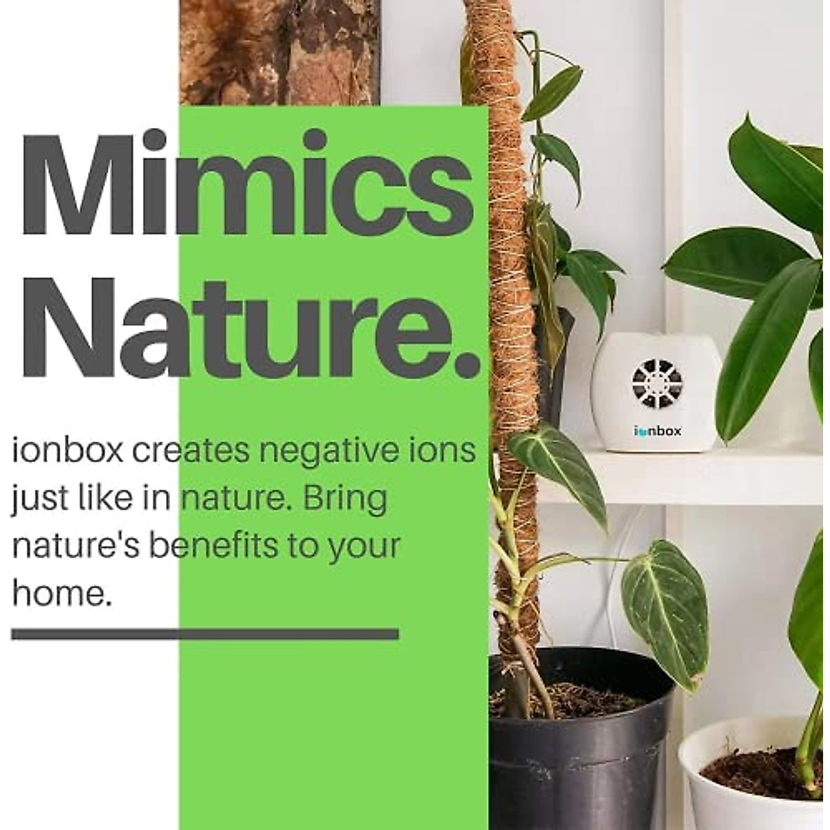 IonPacific ionbox - Air Ionizers for Home, Negative Ion Filtration System, Quiet Air Freshener for Bedroom, Office, Kitchen, Portable Air Filter Odor, Smoke Dust, Pets, Eliminator, Mini Air Cleaner