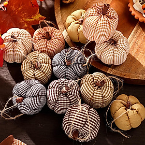Hiboom 12 Pcs Farmhouse Fall Thanksgiving Decor Plaid Fabric Acorns Pumpkin Hanging Ornaments Autumn Tray Table Decor Thanksgiving Tree Decoration (Pumpkin)