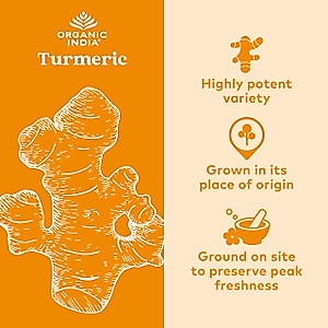 ORGANIC INDIA Turmeric Curcumin with Black Pepper - Organic Turmeric Supplement and Curcumin Supplement, Turmeric Capsules, Joint Support & Immune Support, Whole Root, Trikatu - 90 Capsules, 2 Pack
