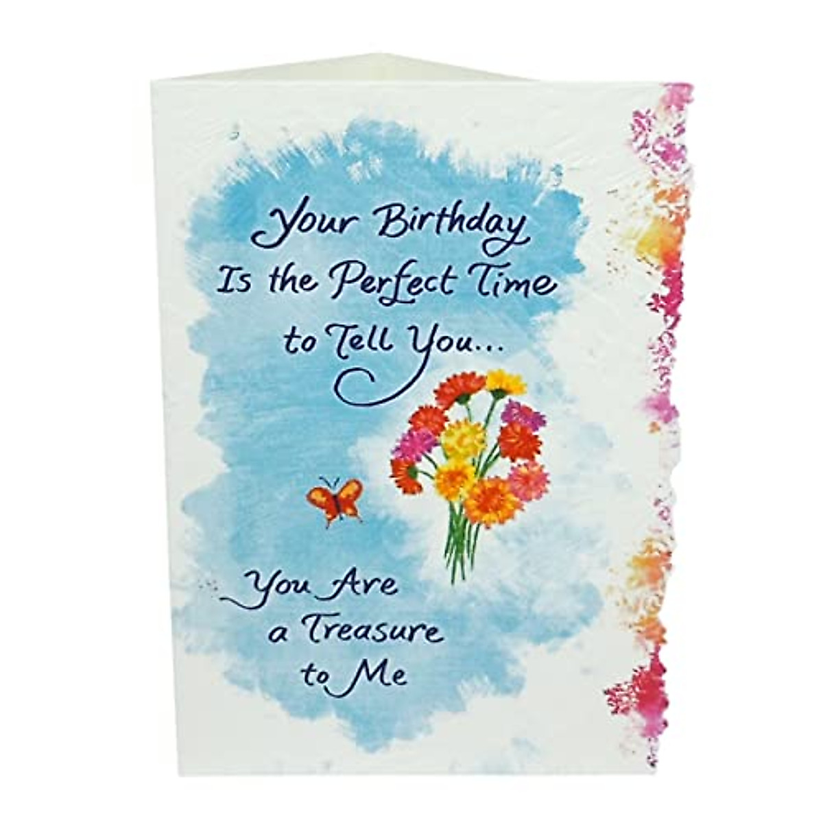 Blue Mountain Arts Birthday Card Assortment—4 Unique Greeting Cards with Uplifting Happy Birthday Wishes for the Special People in Your Life