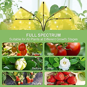 zyzykeji Grow Lights for Indoor Plants,5 Heads Plant Lights for Indoor Plant,LED Full Spectrum Plant Lights,Adjustable Plant Grow Light,4/8/12H Timer,Warm White Grow Lamp for Various Plant