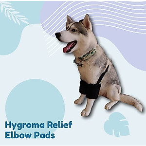 Miller Eclipse Dog Reinforced Elbow Pads Elastic Hygroma Relief Pressure Sore Cushions Flexible Straps Medium Dog Large Dog Soft Stretchy Material