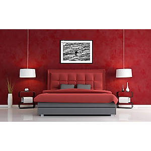 Swimming Loon on Water Bird Photography Unframed Black and White Print Nature Photo Silver Gray Wall Art Monochrome Home Decor