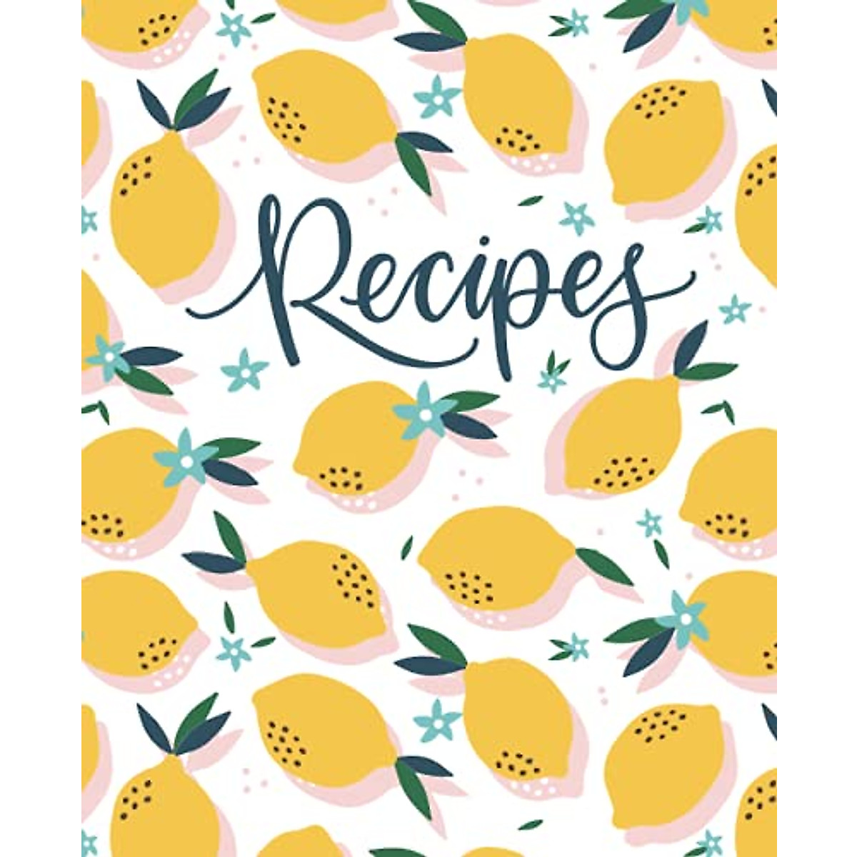 Recipe Book: A Blank Cookbook To Write In Your Own Recipes