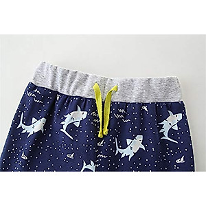 Toddler Boys Short Sets Summer Outfits Cotton Casual Crewneck Grey Fish Short Tee Shirt Knite Shorts Beach Clothes Sets 2T