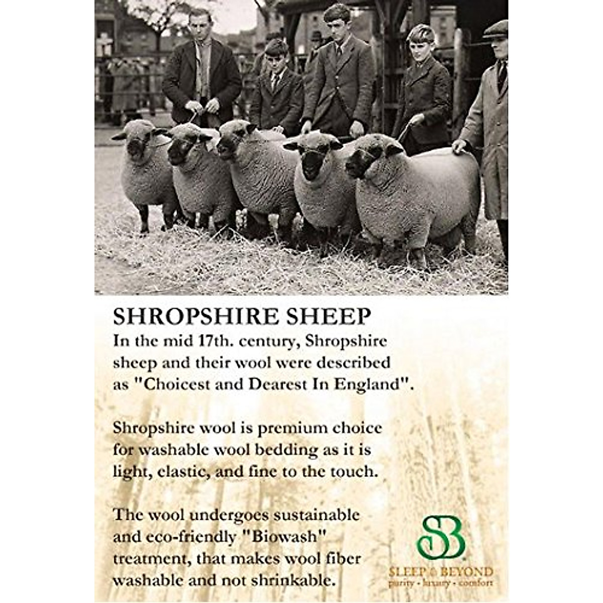 Sleep & Beyond myProtector Wool Filled Mattress Protector, King