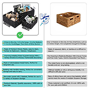 Homepeaz Set of 3 Wicker Storage Baskets, Decorative Baskets With Built-in Handles, Multipurpose Nesting Countertop Baskets for Shelves, Pantry, Kitchen Organizers, Bathroom, Toilet, Closet (Black)