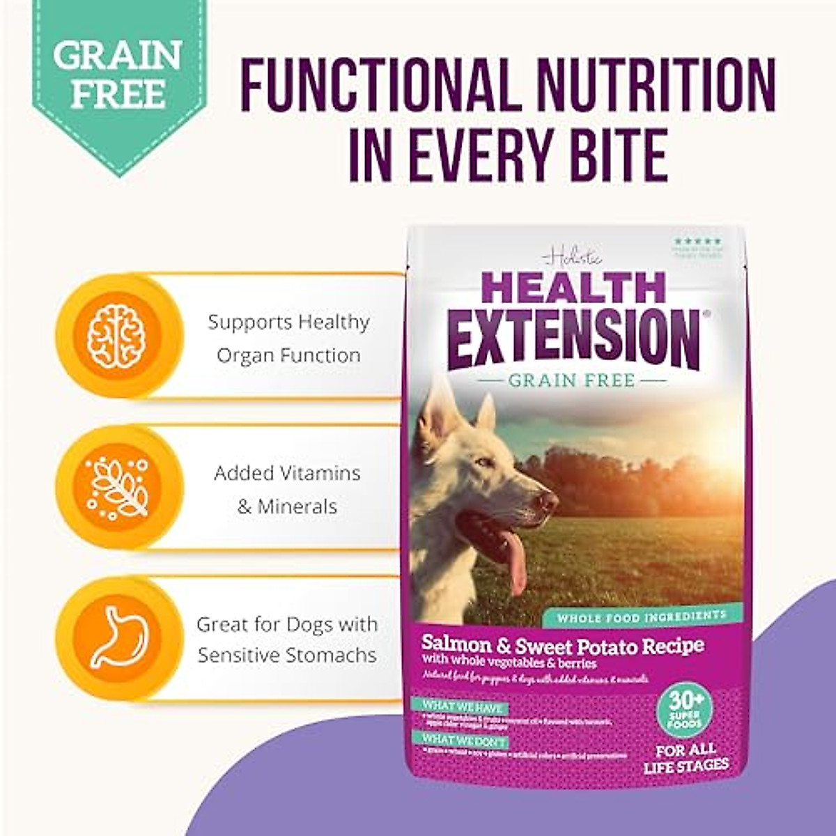 Health Extension Dry Dog Food, Natural with Added Vitamins & Minerals, 1 lb / 0.45 kg, Grain Free, Salmon & Sweet Potato Recipe with Vegetables & Berries for All Puppies