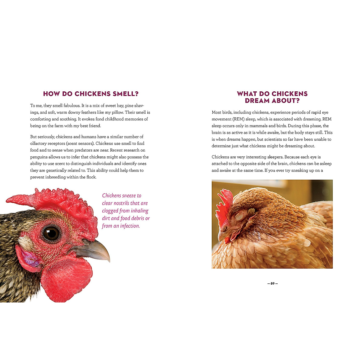 How to Speak Chicken: Why Your Chickens Do What They Do & Say What They Say