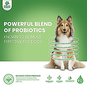 Doggie Dailies Probiotics for Dogs, Advanced Dog Probiotics with Prebiotics, Promotes Digestive Health, Supports Immune System and Overall Health (Duck)