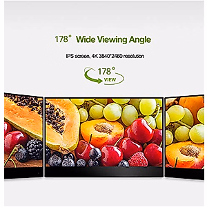 EVER LUSTRE 15.6 Inch Portable Gaming Monitor 4K Touch Screen 3840x2160 UHD Build-in Battery Display Screen for PS4, Xbox, Switch, Smart Phone, Laptop (Battery Monitor+case)