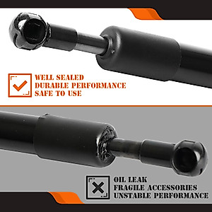 The Mechanic Shop TMS Truck Tailgate Assist Accessories Compatible with 2009-2018 Dodge Ram 1500 and 2019-2024 Ram 1500 Classic, 2010-2024 Ram 2500 3500 Tailgate Damping Strut Accessories