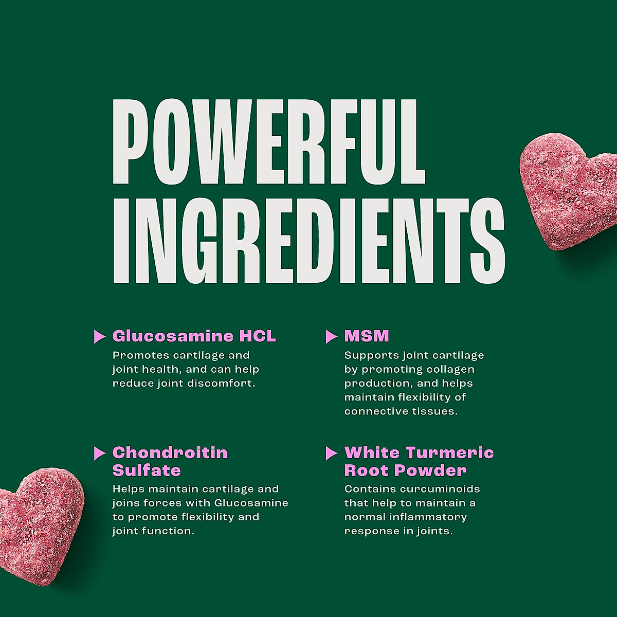 Furtify Hip and Joint Chews for Dogs I Dog Joint Supplement with Glucosamine, Chondroitin, MSM, Green Lipped Mussel & Turmeric I Soft & Chewable Support for Pet Health, Mobility and Stiffness - 90 ct