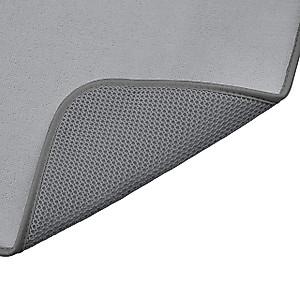 Amazon Basics Plastic Dish Drying Rack with 2 Mats (16" x 18") - Charcoal