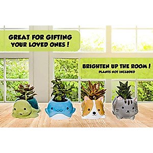 happyEase Succulent Planters - Cute Animal Succulent Pots with Drainage (Set of 4) - Dog Cat Whale Turtle - Small Planter Pot for Indoor Outdoor Decoration, Garden Decor, Indoor Planter, Garden Gifts