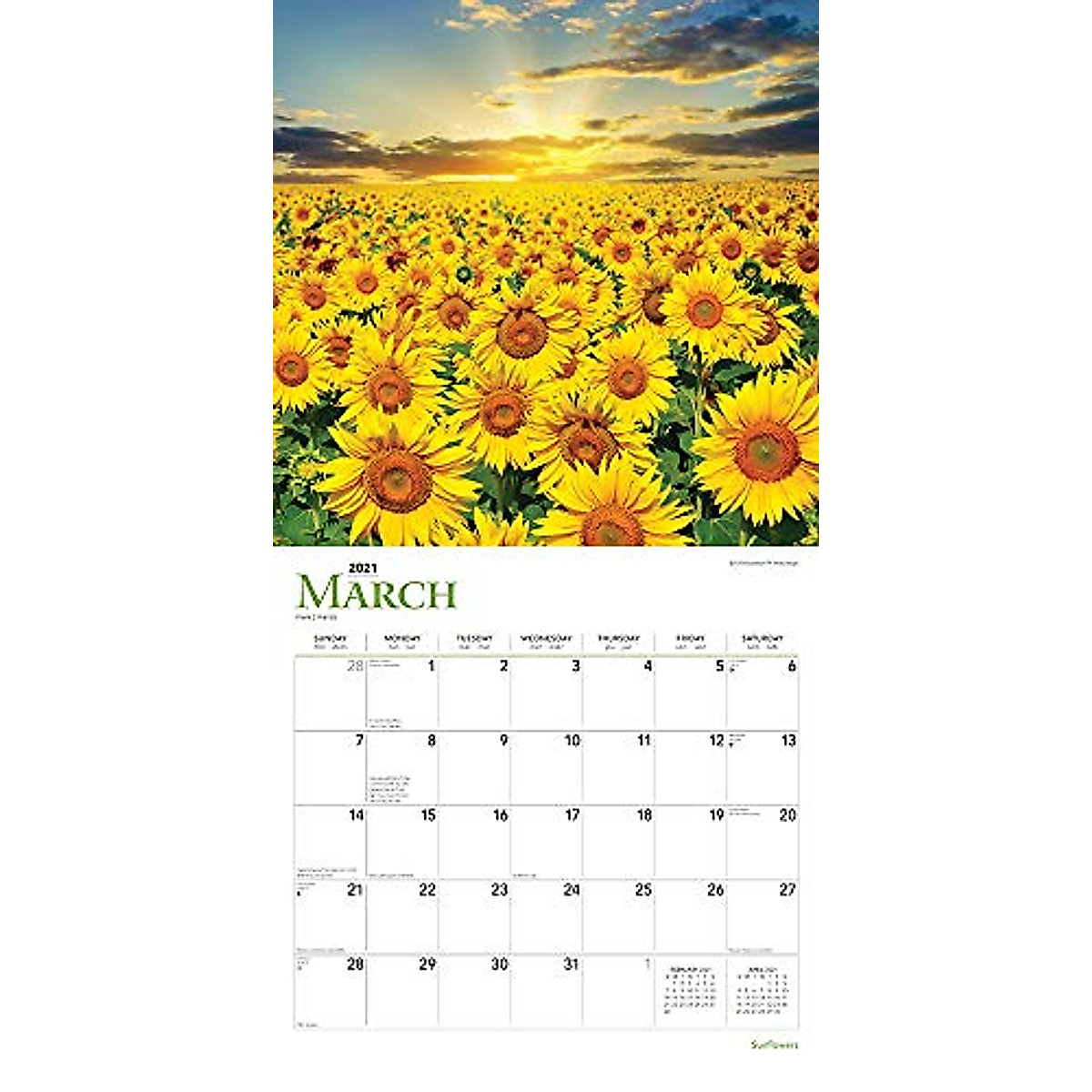 Sunflowers 2021 Calendar