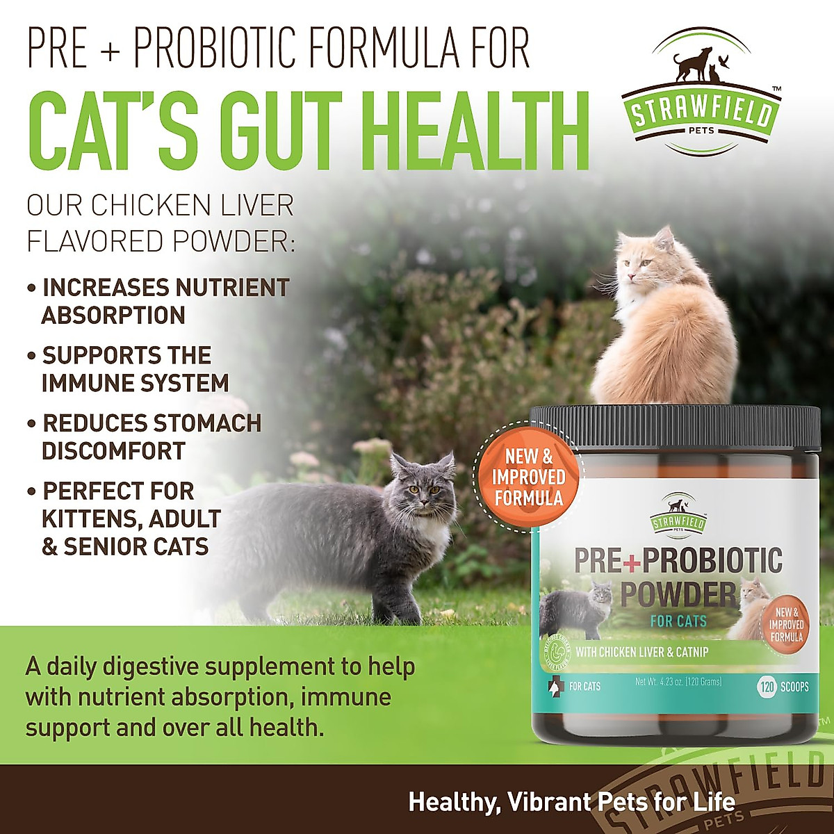 Strawfield Pets' Pre + Probiotic Powder for Cats with Catnip Probiotic for Cats Diarrhea Relief Supplement Natural Chicken Liver Flavor 120 Grams / 120 Scoops