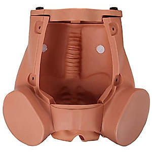 Anatomy Lab Cesarean Section Simulator | C-Section Simulator Permits Abdominal Incisions and Removal of the Baby | Basic and Realistic Obstetric Practice Capabilities | Has baby and 5 Dilation Models