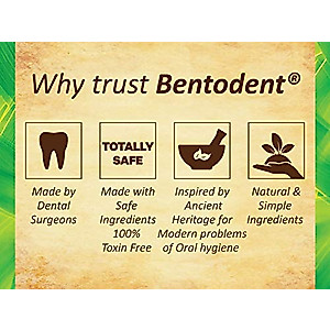 Bentodent Natural Toothpaste for Family Including Kids (Premium Mint)