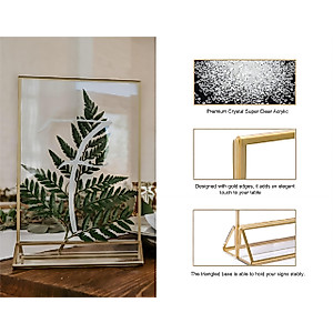 LHFFZJ Acrylic Sign Holder 5x7 Gold Acrylic Frame Display Stand, Clear Wedding Table Number Holder, Acrylic Frames for Home Office Shop Photo Frames Exhibition (6pcs)