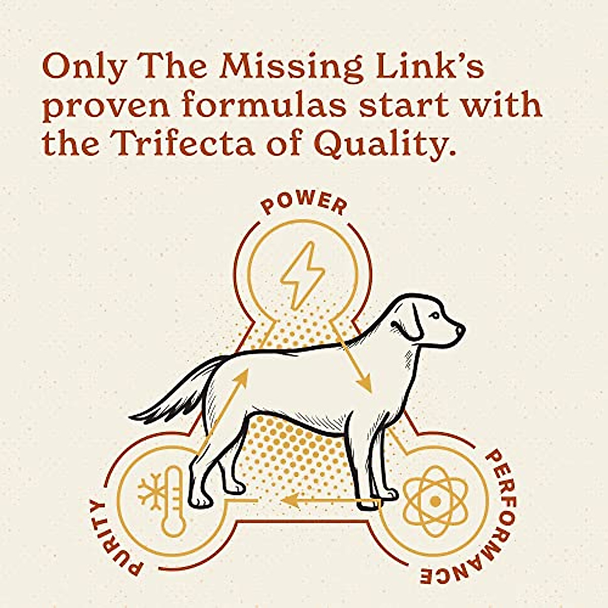 The Missing Link Digestion Superfood Supplement Powder for Dogs & Cats - Fiber, 7-Probiotic Blend + Chicory Root Prebiotic, Ginger, Chamomile - Supports Daily Digestive & Bowel Health - 1lb