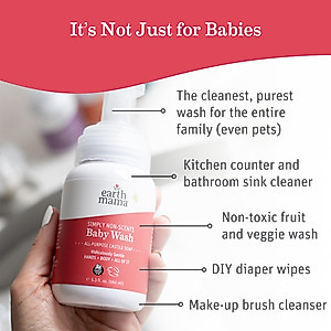 Earth Mama Simply Non-Scents Baby Wash Foaming Hand Soap, Organic Fragrance Free Body Wash, Unscented Body Wash, Castile Soap with Coconut Oil, Shea Butter, Calendula, & Aloe, 34floz