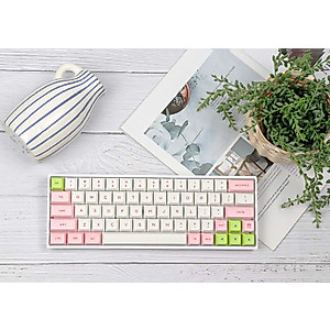 EPOMAKER SK64S Hot Swappable Bluetooth 5.1 Wireless/Wired Mechanical Keyboard with RGB Backlit, PBT Keycaps for Win/Mac/Gaming (Gateron Optical Red, Pink White)