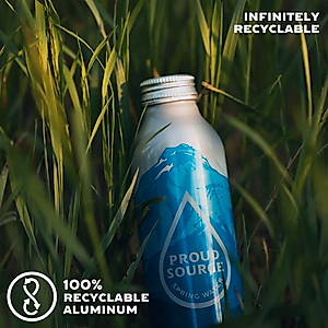 Proud Source Naturally Alkaline Spring Water, 16oz Bottles (6 pack)