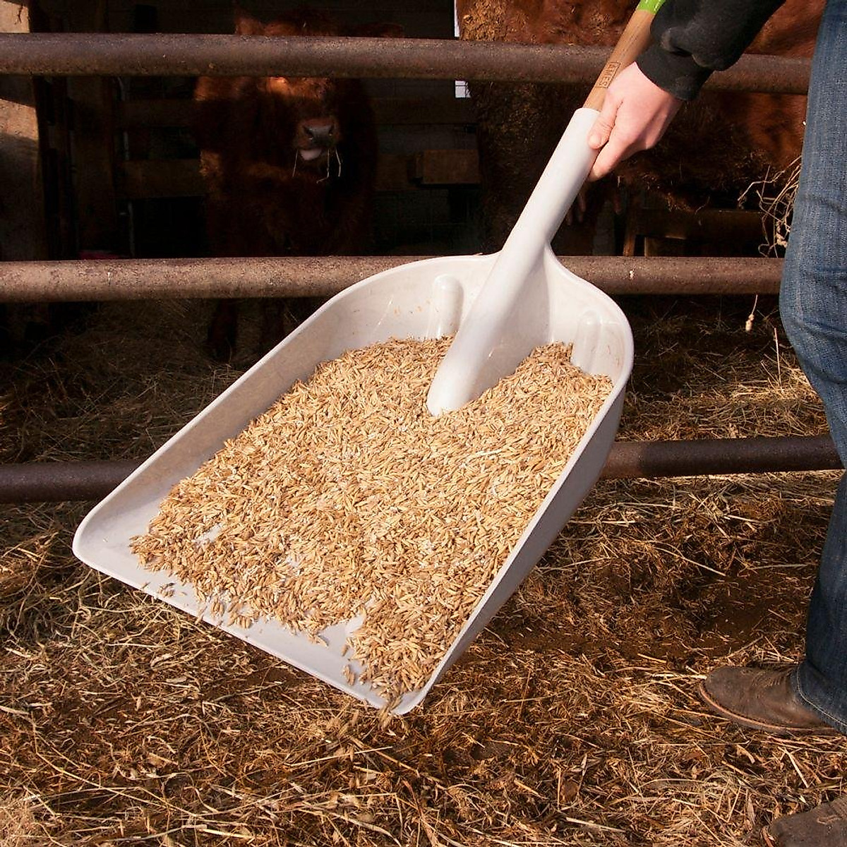 AMES 2682700 Poly Scoop with Hardwood Handle and D-Grip, 46-Inch