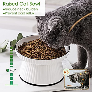 Large Ceramic Elevated Cat Food Bowl,Whisker Friendly Raised Cat Water Bowl,Stress Free Food Feeding Dish,Anti Whisker Fatigue Bowl with Anti-Slip Strip for Cats & Small Dogs,Non Tipping