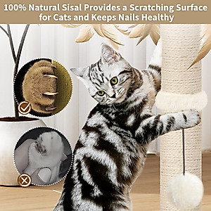 Paroto Cat Scratching Post, Sisal Scratching Posts for Indoor Cats Adults with Hanging Ball and Interactive Toys, 2 Mounting Methods Cat Scratcher for Kitten Cats, 25 inches