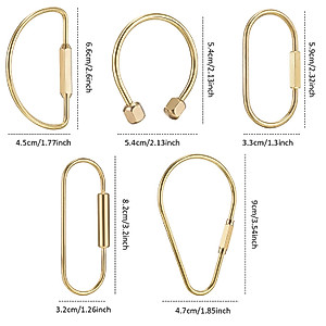 Hotop 5 Pieces Brass Screw Lock Keychain Simple Brass Key Chain Ellipse Shape Key Ring Brass Lock Clip Key Holders for Men Women, Gold, One Size