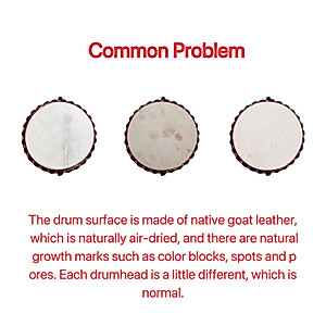 RUOSWTE Djembe Drum Bongo ，Goblet Drum Made Of Goat Leather Drum Head, Hand Painted Cloth, West African Style Hand Drum, Gift For Beginners (B)