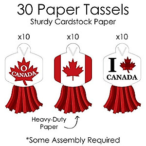 Big Dot of Happiness Canada Day - 90 Chain Links and 30 Paper Tassels Decoration Kit - Canadian Party Paper Chains Garland - 21 feet