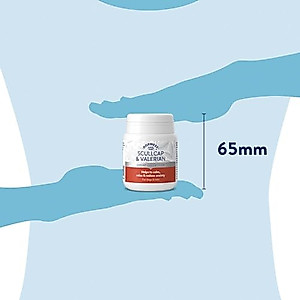Dorwest Herbs Scullcap and Valerian Tablets for Dogs and Cats 100 Tablets