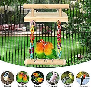 FrgKbTm Bird Perches Cage Toys Parrot Wooden Platform Play Gyms Exercise Stands with Acrylic Wood Swing Ferris Wheel Chewing for Animals Green Cheeks, Baby Lovebird, Chinchilla, Hamster Budgie