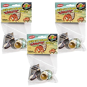 Zoo Med Hermit Crab Growth Shells, Size Medium - 6 Total (3 Packs with 2 Shells per Pack)