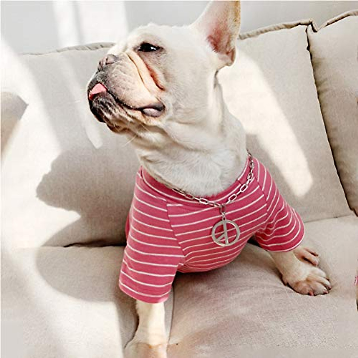 LXYDD Family Matching Set Matching Dog and Owner Clothes Pink Striped Cotton T Shirt Small Dog Clothes,Suitable for Small Dogs/Cats,M