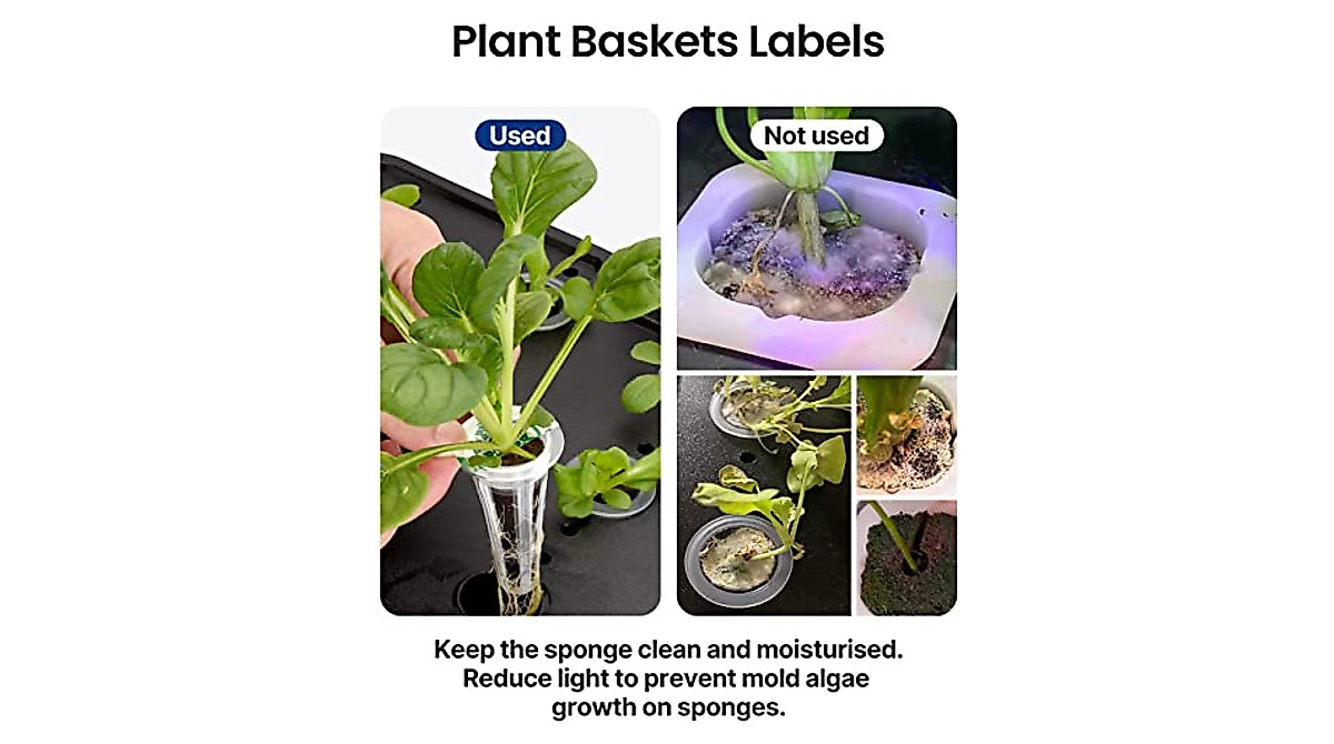 iDOO Hydroponics Garden Kit with Labels and Cactus Covers