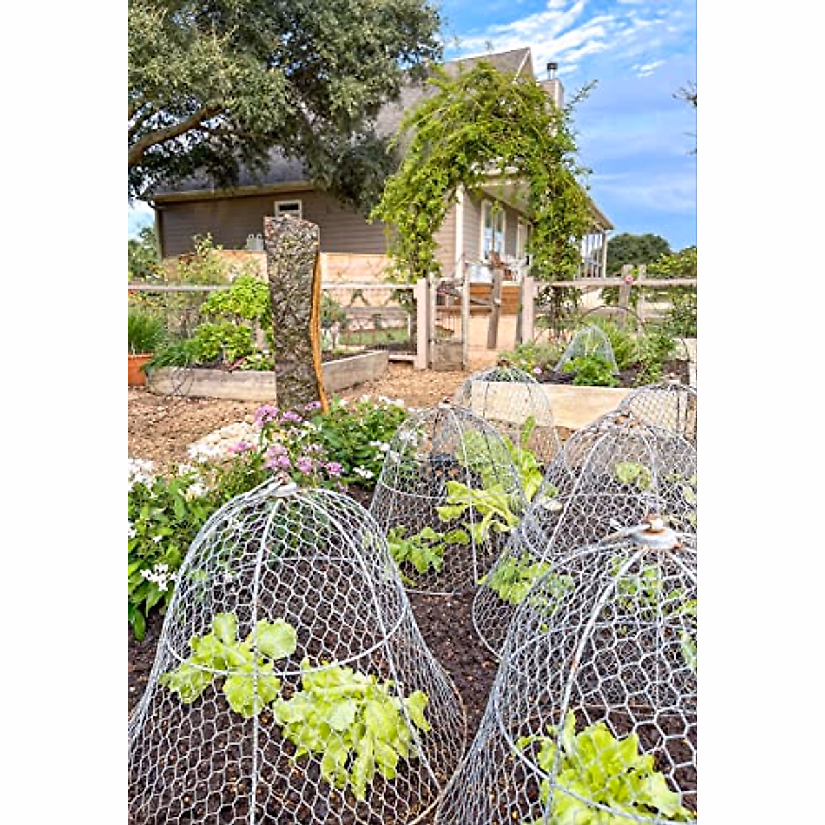 Gardener's Supply Company Sturdy Chicken Wire Cloche Plant Protector & Cover | Sturdy Metal Cage Garden Protection for Your Plants and Seedlings | No Assembly Required - 16" in Diameter x 12-1/2" H