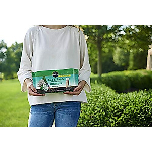 Miracle-GRO Tree & Shrub Fertilizer Spikes, 5 Pack