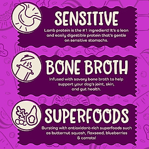 Earthborn Holistic EarthBites with Lamb Grain-Free Soft Treats for Dogs & Puppies, Sensitive Stomach (7 oz. Pouch)