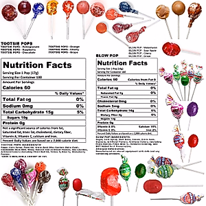 Assorted Charms Blow Pops & Tootsie Pops Bulk Candy Suckers Variety Value Pack 1 Lb (16 Oz)