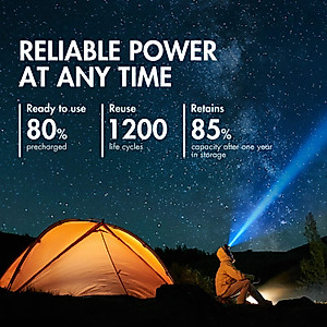 Tenergy Premium Rechargeable AAA Batteries, High Capacity 1000mAh NiMH AAA Batteries, AAA Cell Battery, 12 Pack