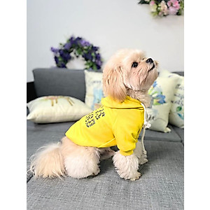 YoPetMax Pet-Parent Matching Leopard Pattern Family Look Pullover Hoodie Sweatershirt for Cat Small Dog Kitten Puppy Dogs&Mommy Outfits Clothes are Sold Separately(XL,Yellow)