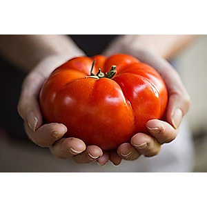 "The Delicious Giant" Beefsteak Tomato Seeds for Planting, 50+ Heirloom Seeds Per Packet, Non GMO Seeds, Botanical Name: Solanum lycopersicum, Can Grow to 1 Pound! Great Gift