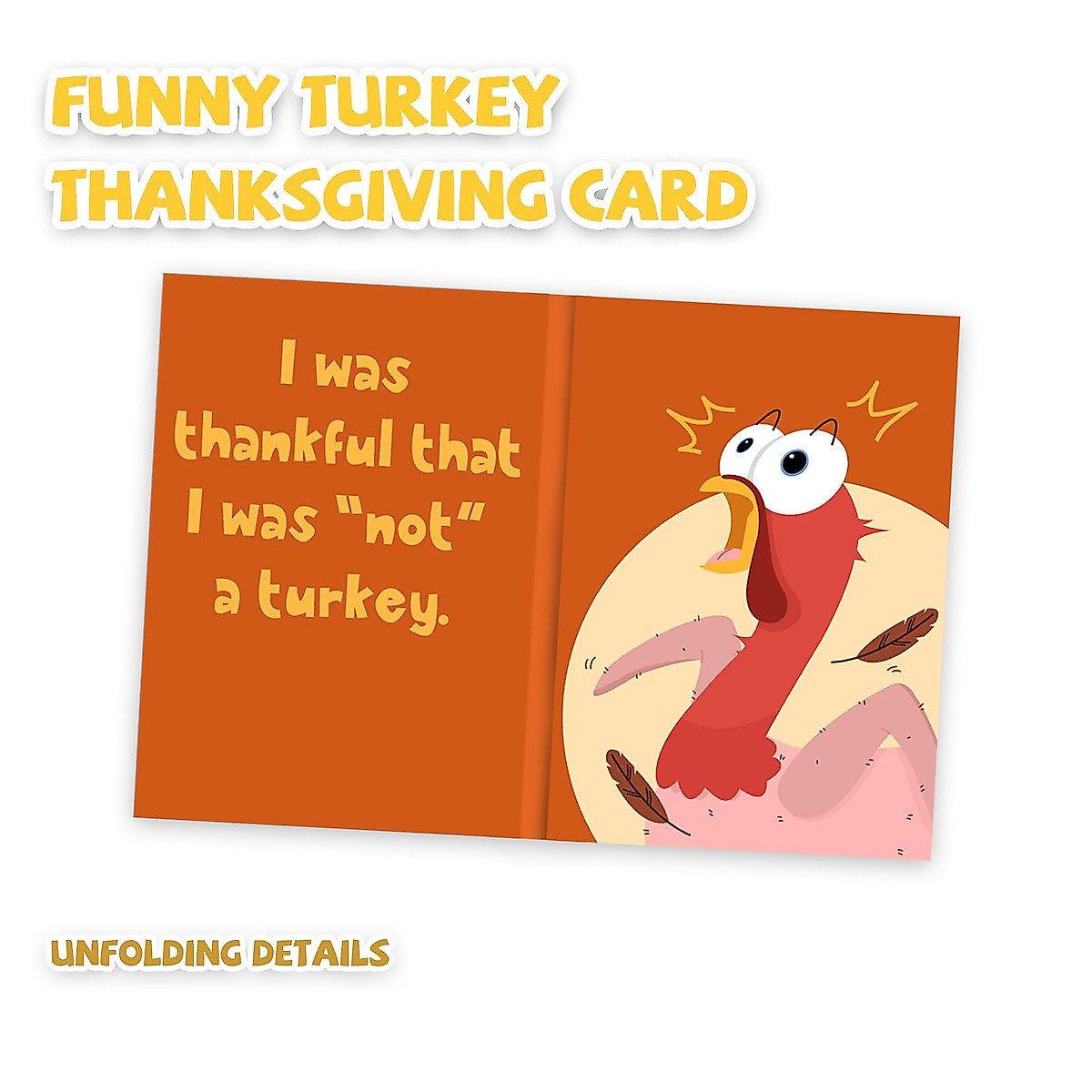 DTESL Happy Thanksgiving Card Funny, Sound and Shaking Head Motion Cartoon Humor with Envelope - not a turkey